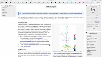 【ImageJ 图像处理】5. 测量_哔哩哔哩_bilibili