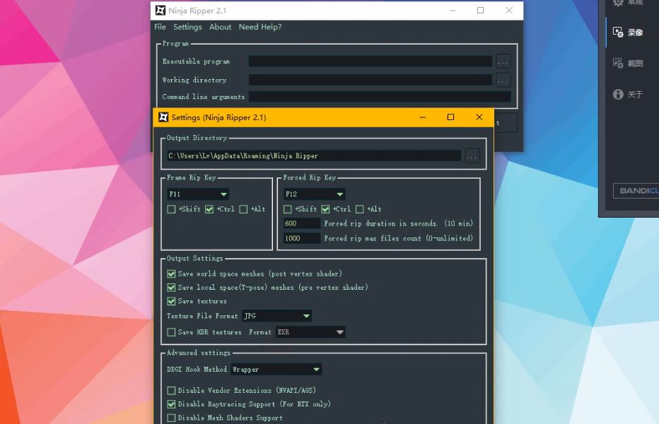 Ninja Ripper 2.1 演示和下载-Ri_Smokee-Ri_Smokee-哔哩哔哩视频