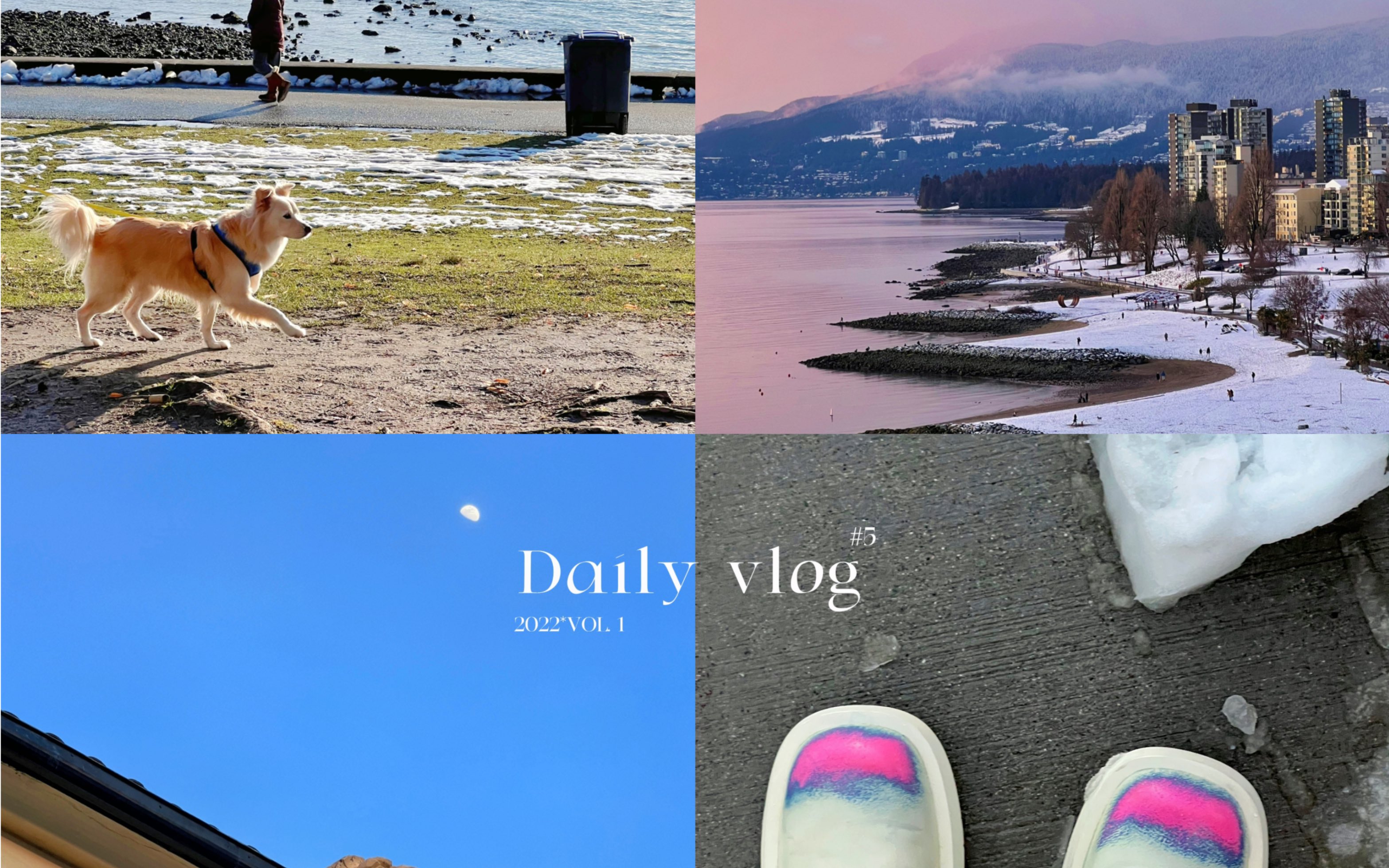 Daily vlog｜在雪后的海边散步·追赶落日˗ˋˏ♡ˎˊ˗-shhahsjs-shhahsjs-哔哩哔哩视频