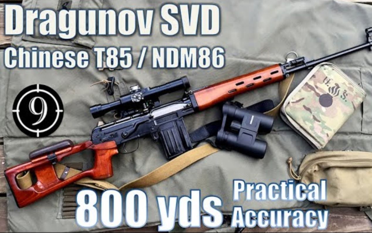Dragunov SVD狙击步枪 150码-800码实用性精度测试-bilibili(B站)无水印视频解析——6li6在线工具箱