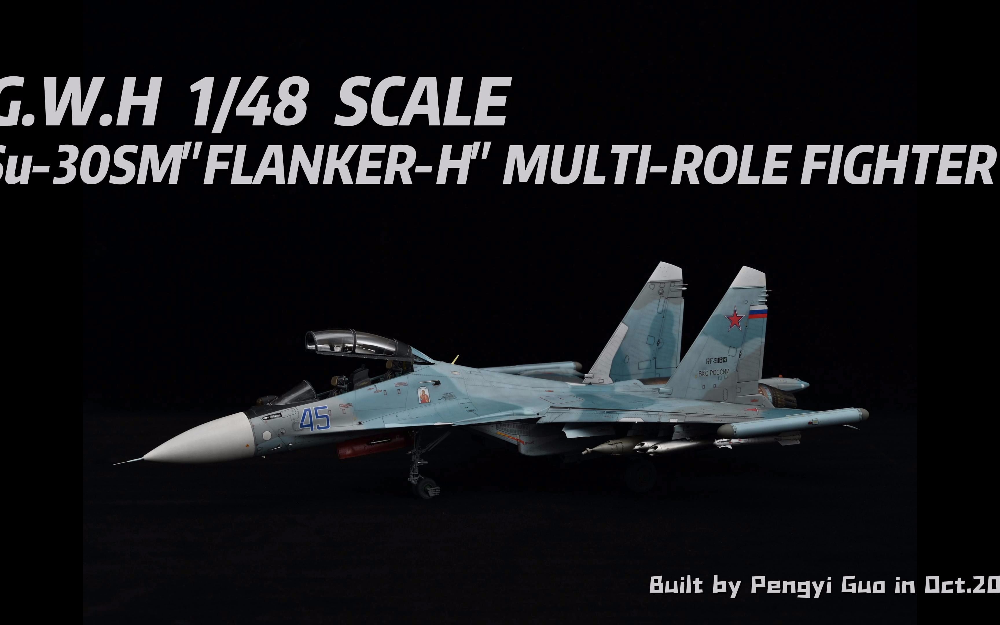 【长城模型】Su-30SM 1/48 - 哔哩哔哩