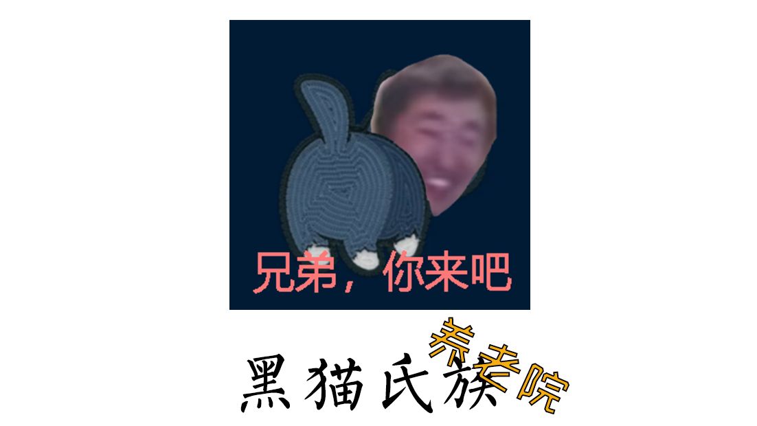 [战舰世界]黑猫氏族, 专养长老!-猫叔UoCat-猫叔UoCat-哔哩哔哩视频