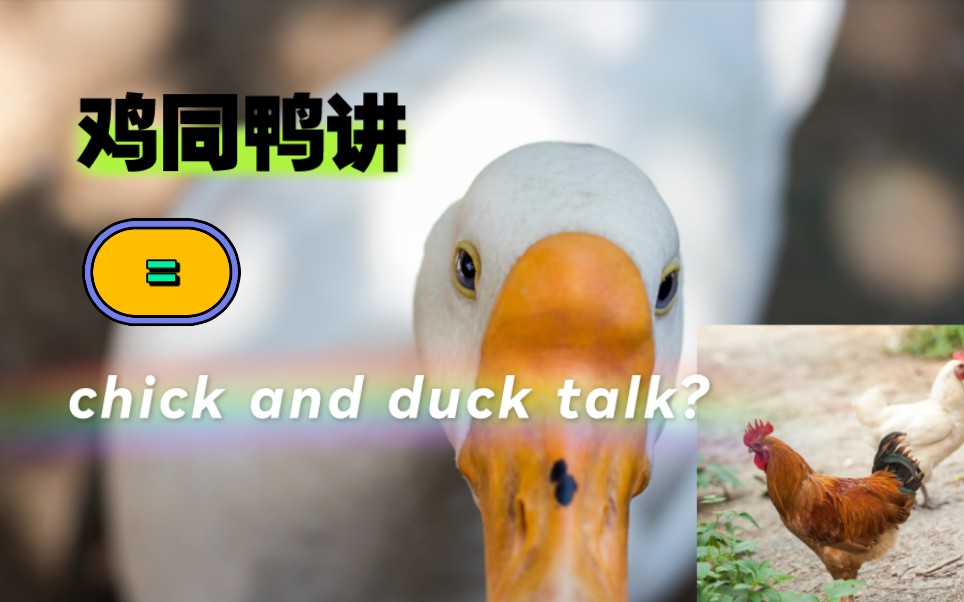 鸡同鸭讲chick And Duck Talk 哔哩哔哩