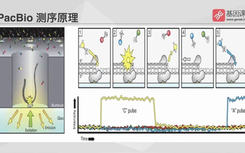 2 PacBio、ONT 测序原理，安装虚拟机_哔哩哔哩_bilibili