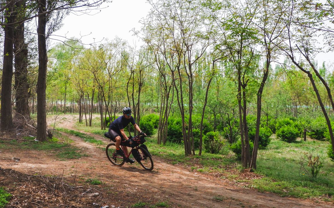 不死骑Boskey Archer Plus 2020 Gravel订制_哔哩哔哩_bilibili