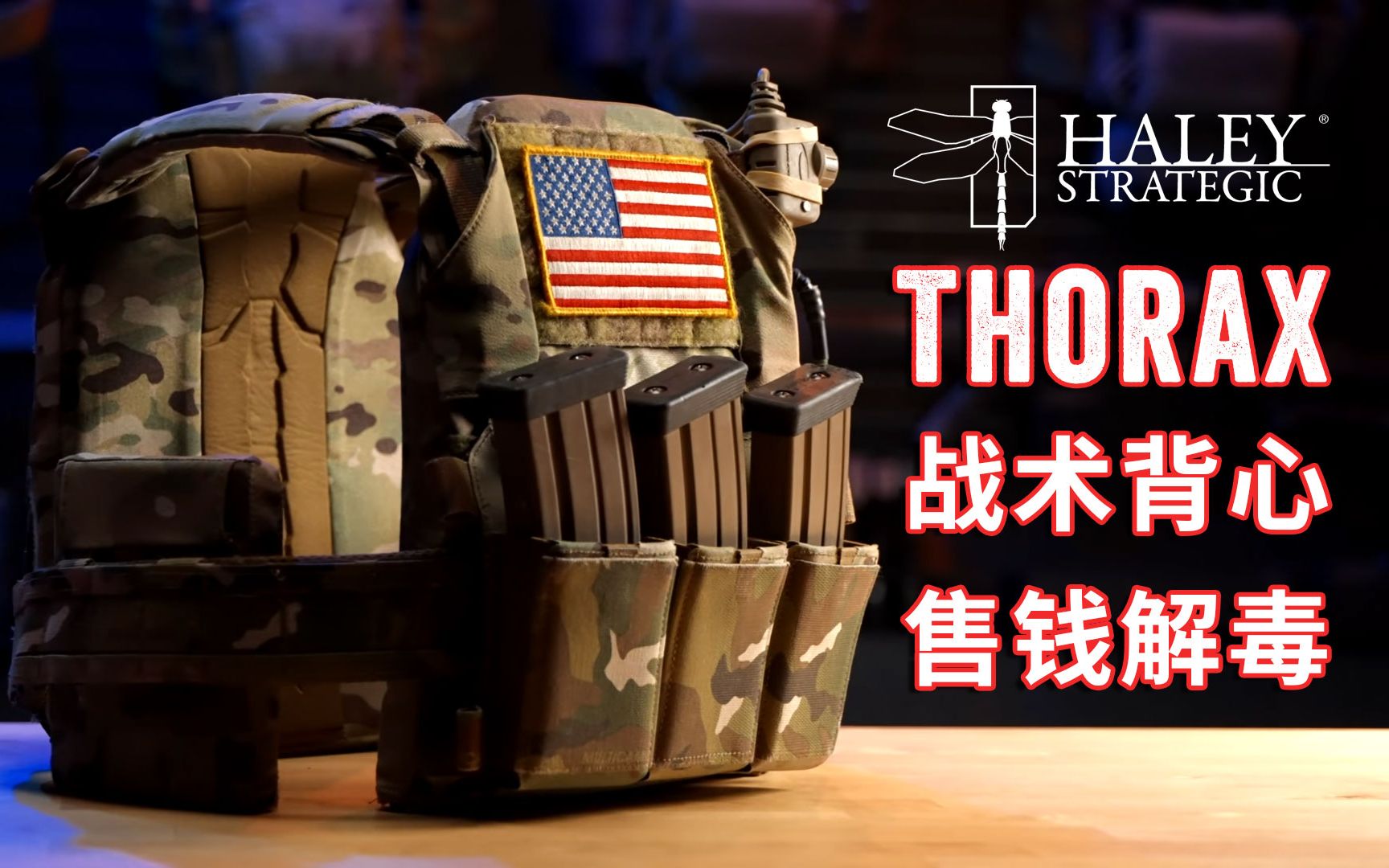 Haley Strategic Thorax Plate Carrier 战术背心售价解读_哔哩哔哩_bilibili