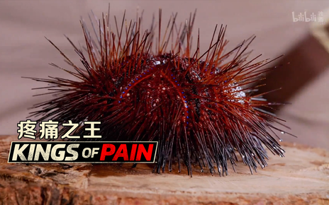 疼痛之王第5集-纪录片-全集-高清独家在线观看-bilibili-哔哩哔哩