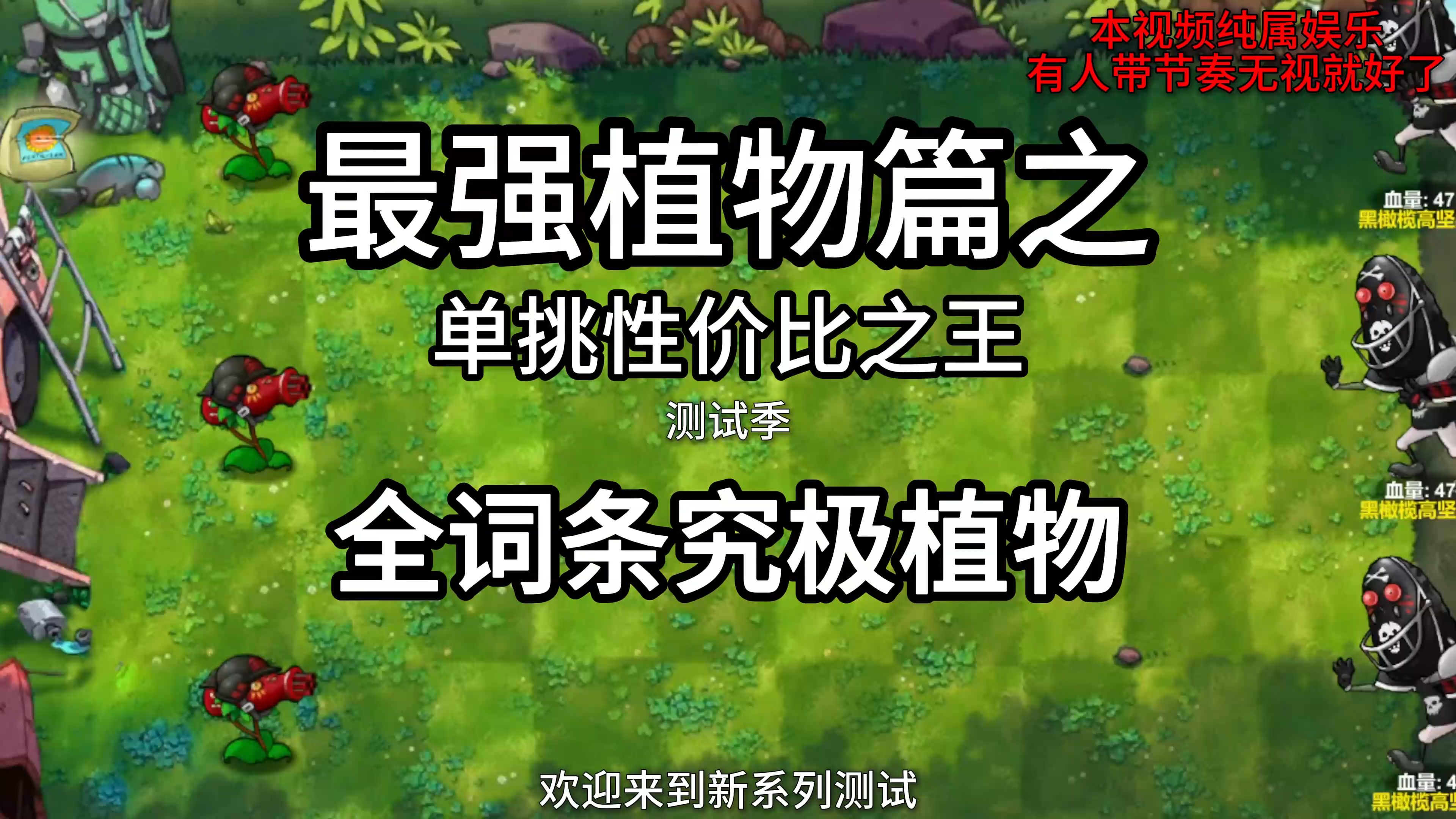 满词条究极植物之性价比之王-小风5678901234-小风5678901234-哔哩哔哩视频