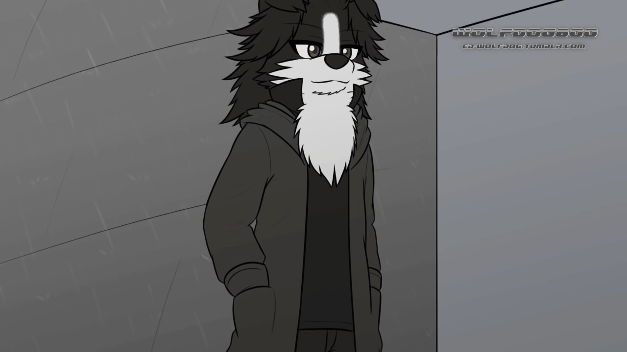 【Wolfdog800】Rainy Day_哔哩哔哩_bilibili