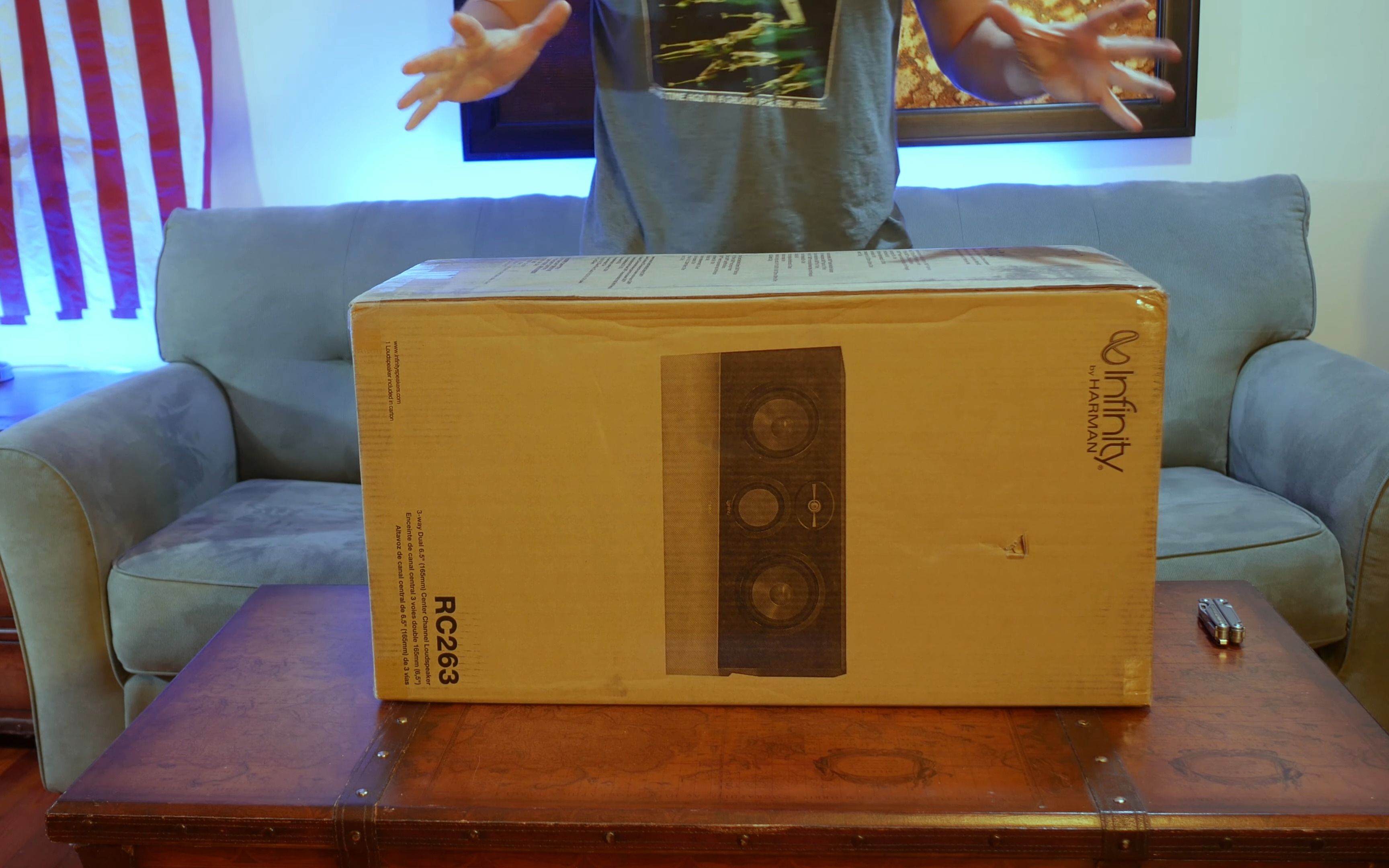 Infinity RC263 Center Channel Speaker Unboxing-简单_不简单-简单_不简单-哔哩哔哩视频