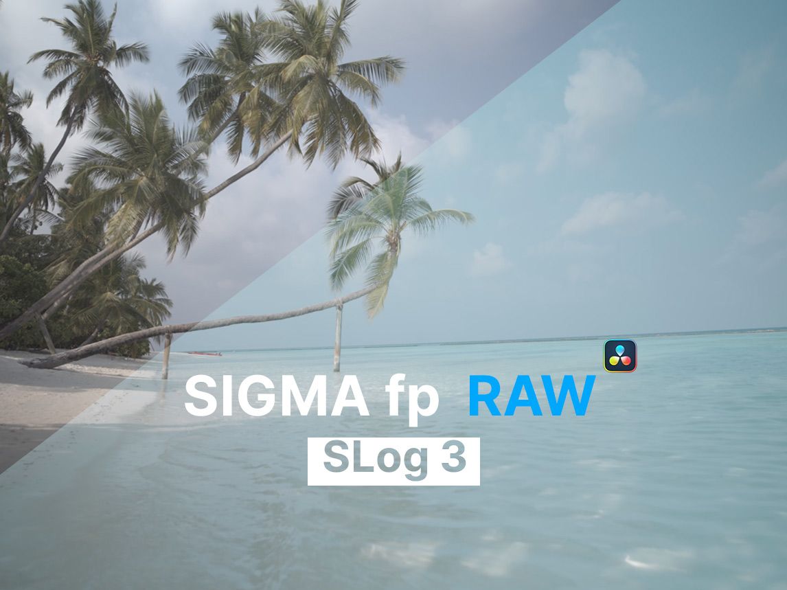 SIGMA fp fp L 使用SONY SLog3 LUTs CDNG RAW 使用 Phantom LUTs-JonIrenicus11 ...