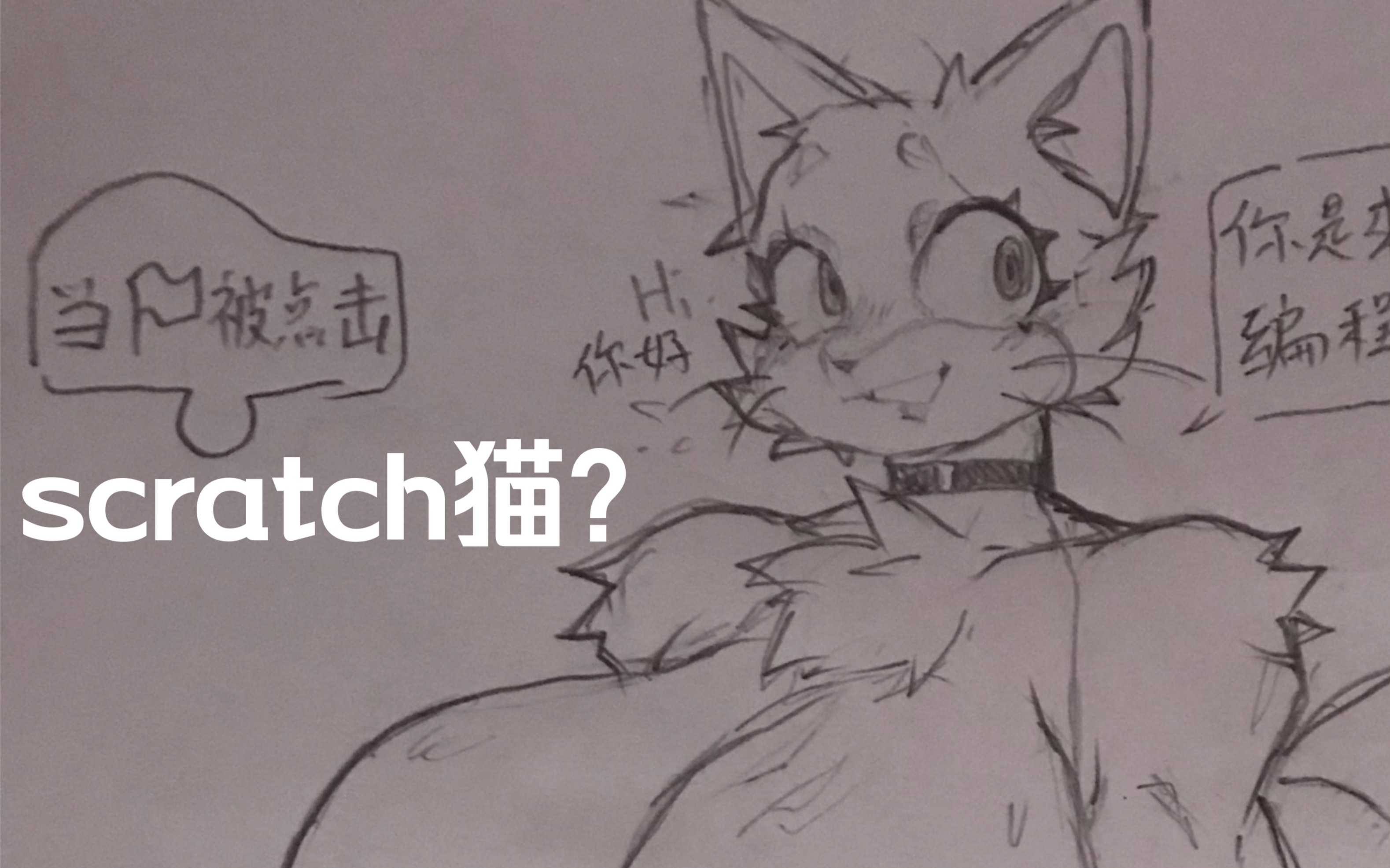 【scratch猫 编程猫】你是来学编程的，对…吧 哔哩哔哩