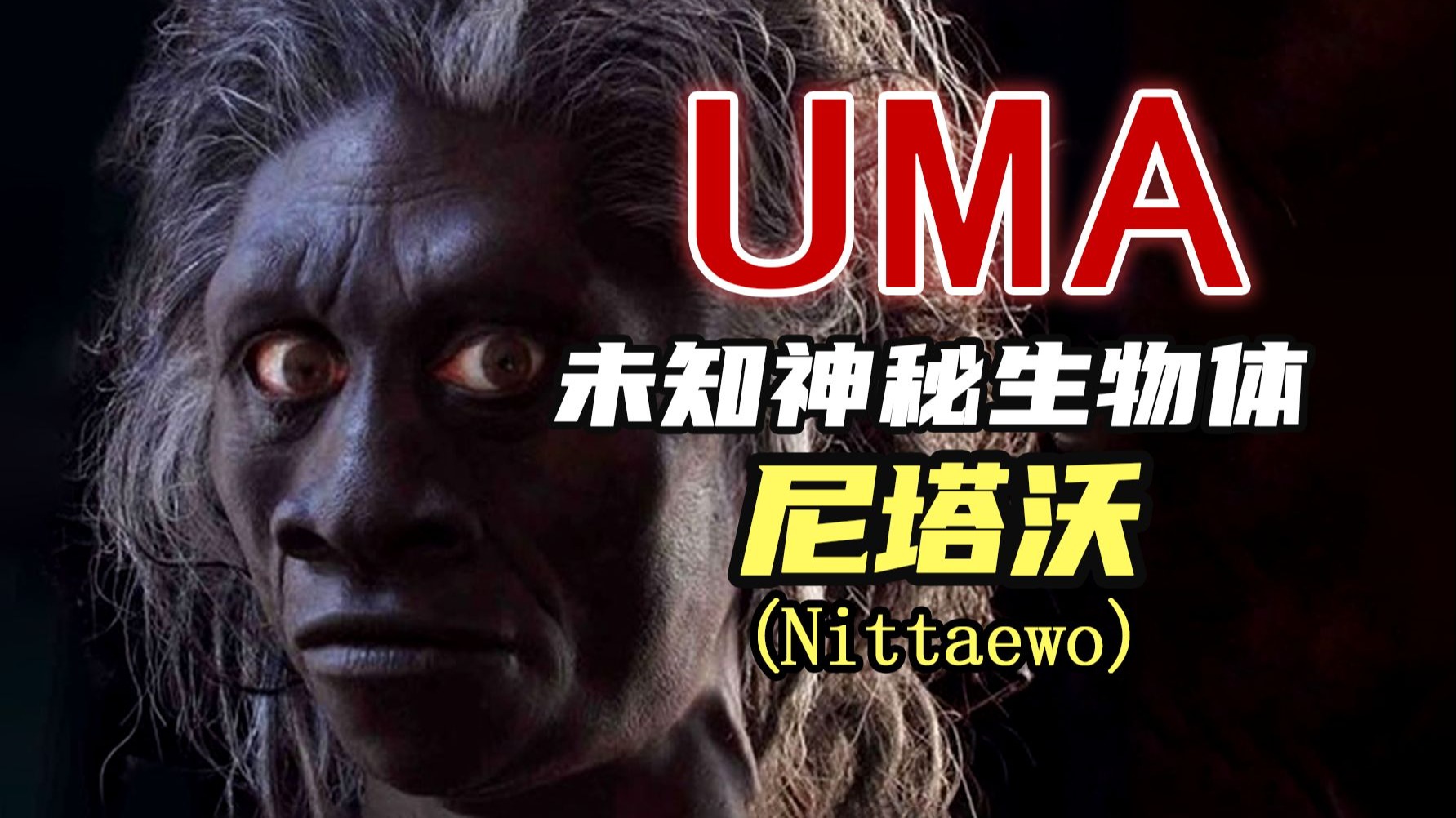 【UMA系列】第五十五期：南亚野人，尼塔沃-影Man未知档案-影Man未知档案-哔哩哔哩视频