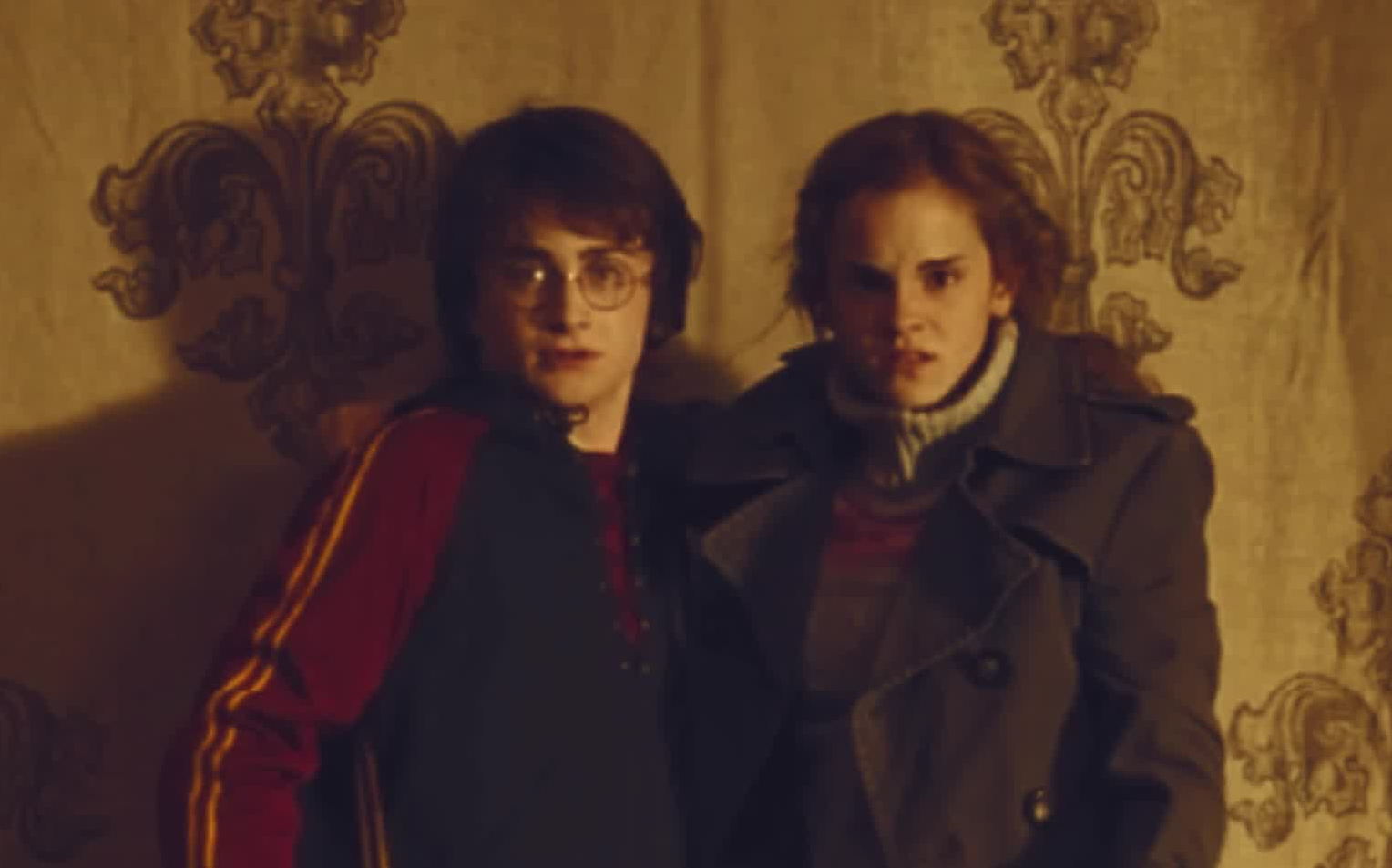Harry ＆ Hermione_哔哩哔哩_bilibili