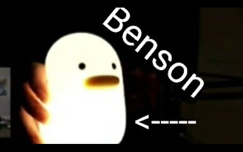 【Tubbo/自制熟肉】有关Benson的奇妙事实（不定时更新）_哔哩哔哩_bilibili