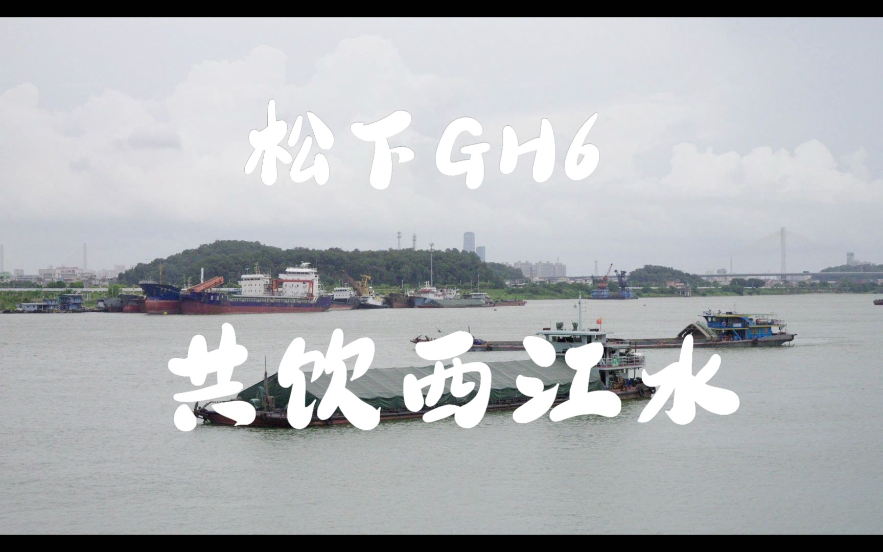 江门共饮西江水/钓鱼人/Lumix GH6/松下 - 哔哩哔哩