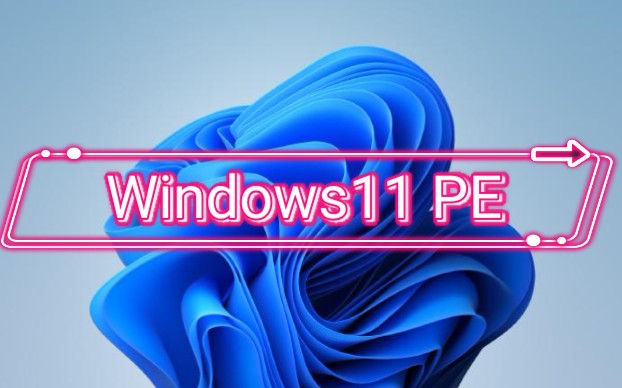 全网第二个windows11 PE_哔哩哔哩_bilibili