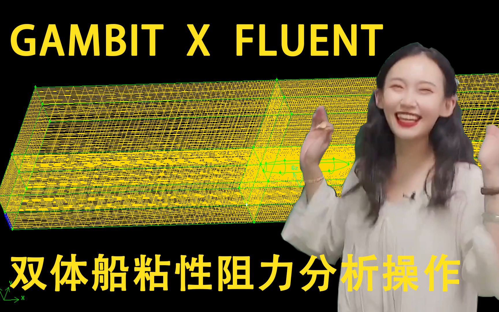 Gambit X Fluent双体船粘性阻力仿真_哔哩哔哩_bilibili