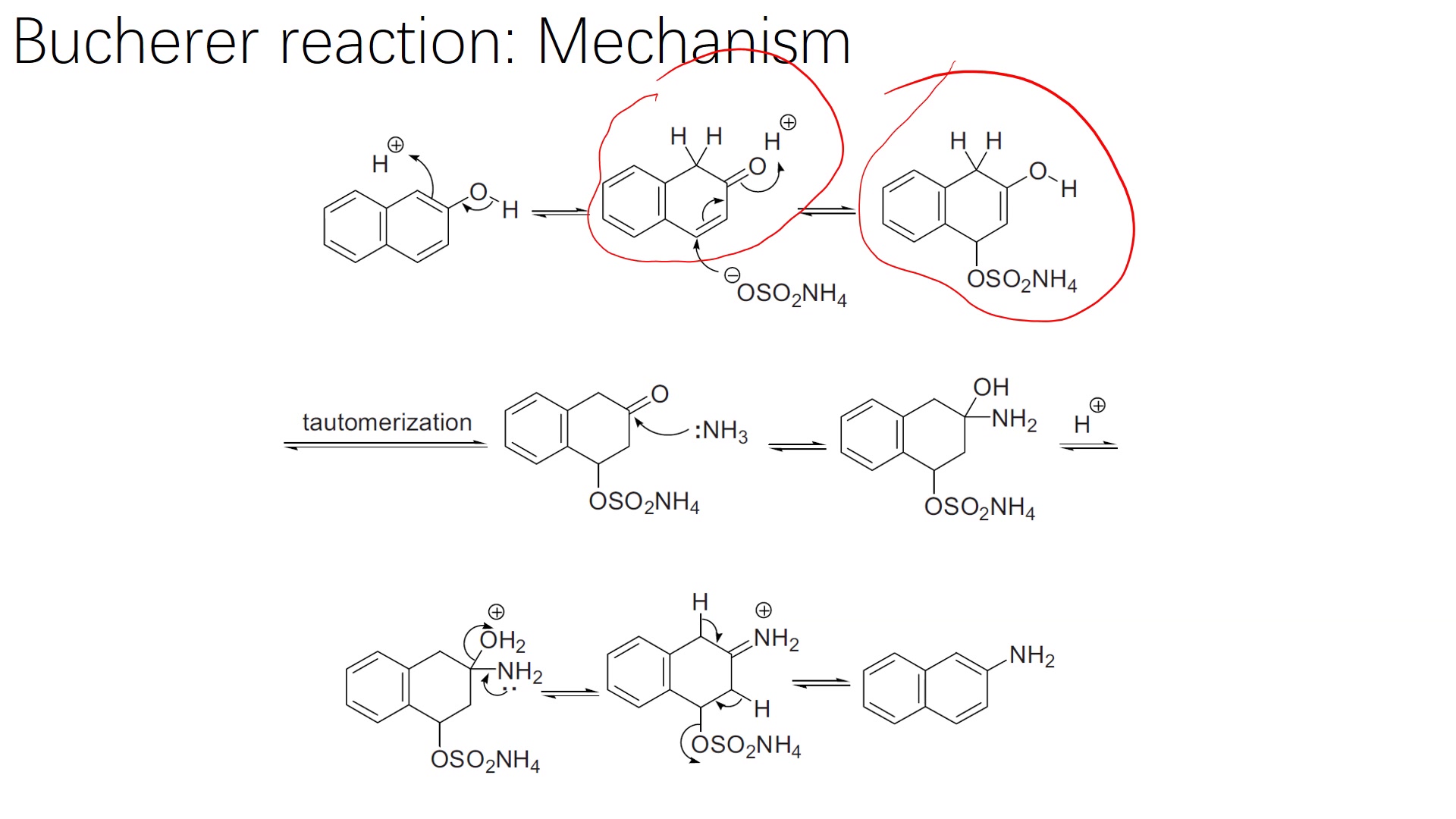 有机人名反应（37）：Bucherer reaction_哔哩哔哩_bilibili