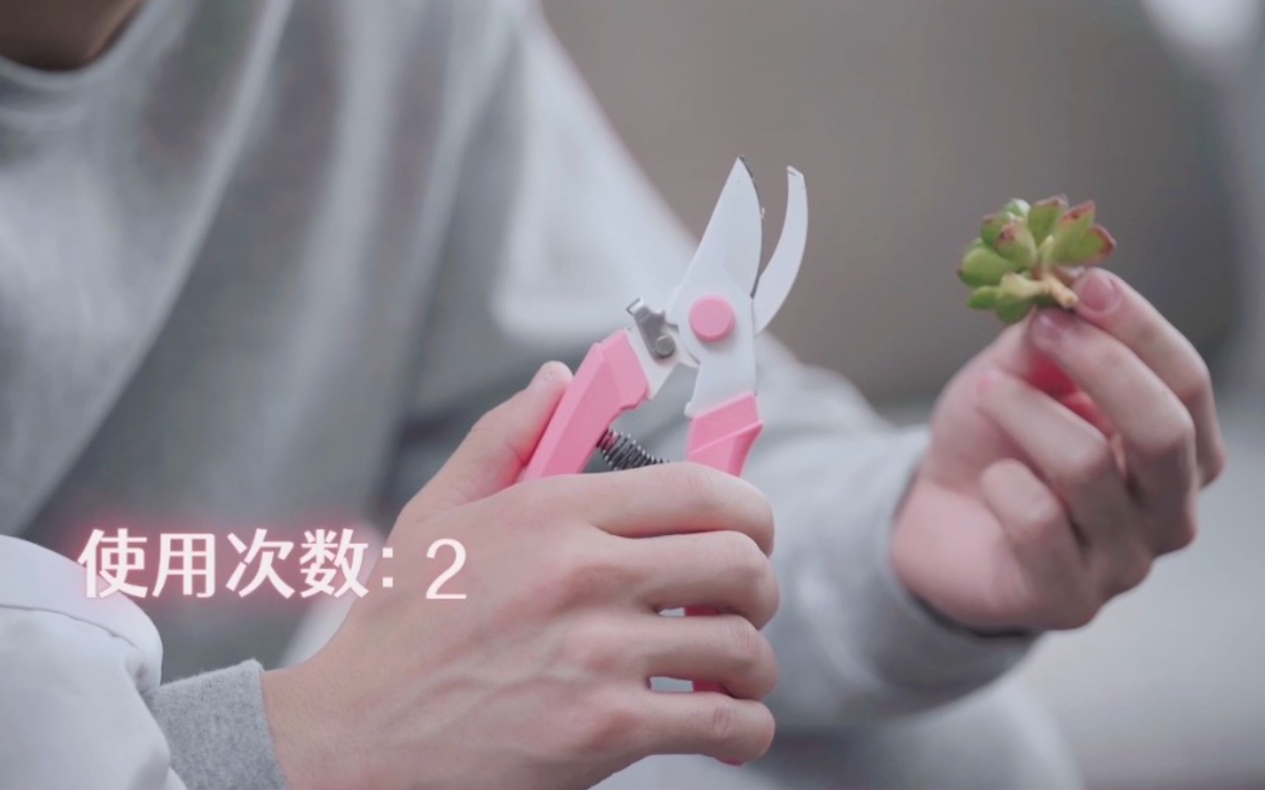 假如月老也有kpi这年头桃花还能剪掉了? 电视剧 全集 高清独家在线观看 Bilibili 哔哩哔哩