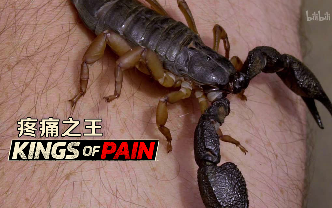 疼痛之王第3集-纪录片-全集-高清独家在线观看-bilibili-哔哩哔哩