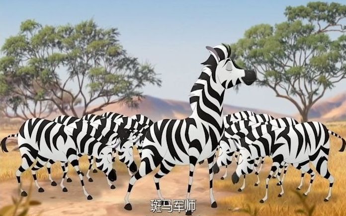 The zebra mastermind_哔哩哔哩_bilibili