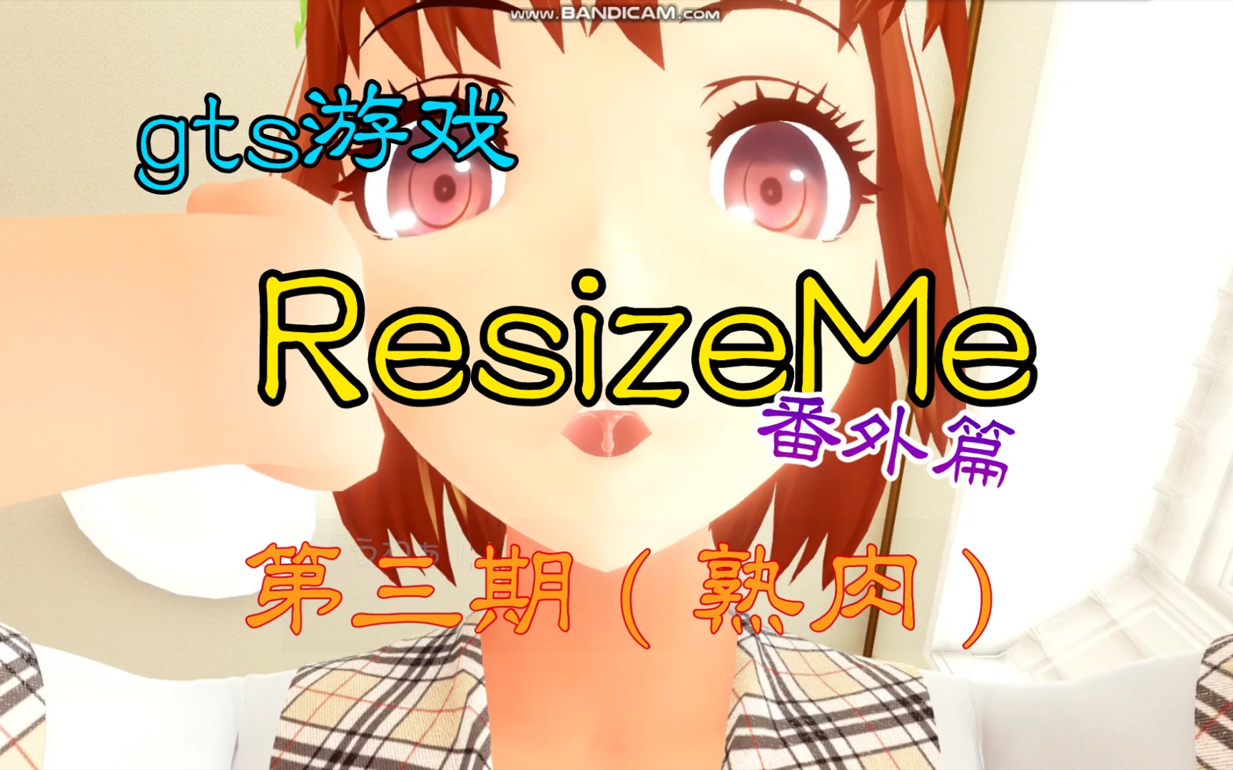 【gts游戏】ResizeMe 番外篇（第三期）（熟肉）_哔哩哔哩_bilibili