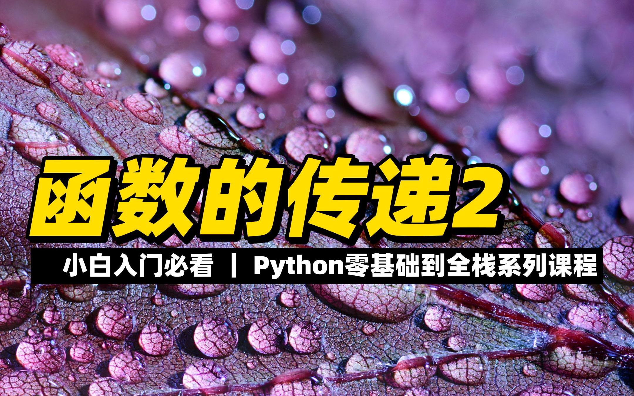 函数的传递2 《python零基础到全栈系列》 哔哩哔哩