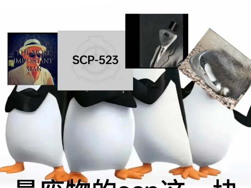 最废物的SCP这一块_哔哩哔哩_bilibili