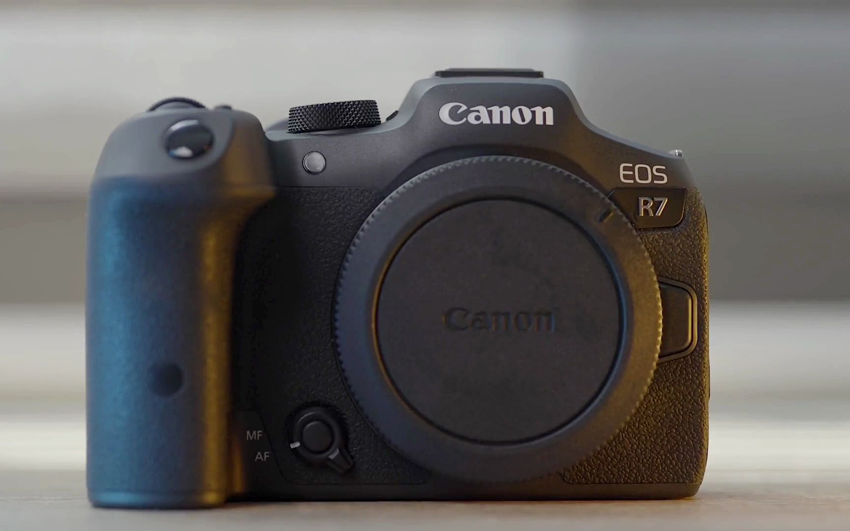 Canon EOS R7 - 鸟类摄影实拍体验_哔哩哔哩_bilibili