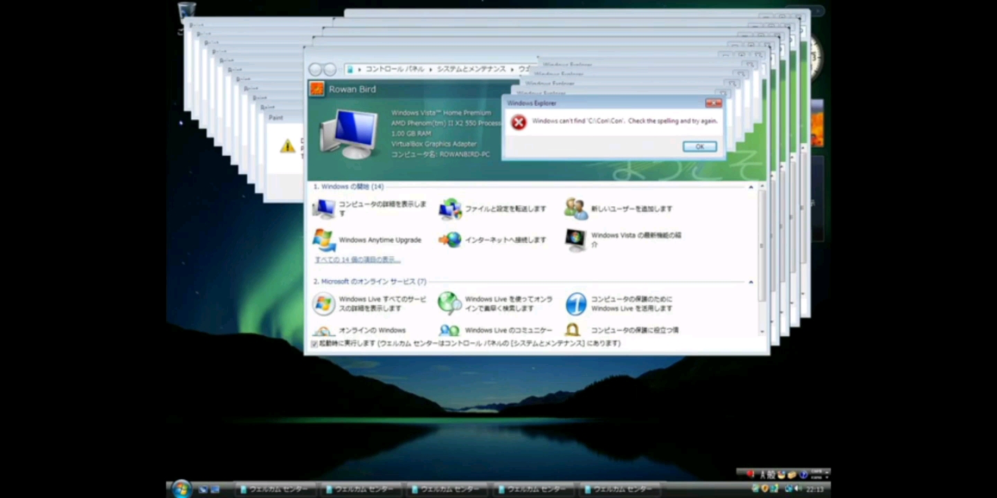 Windows Vista crazy error_哔哩哔哩_bilibili