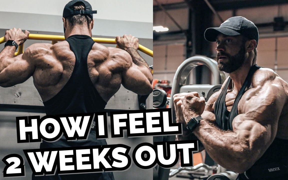 Chris Bumstead - 备赛饮食更新｜背部与二头训练_哔哩哔哩_bilibili