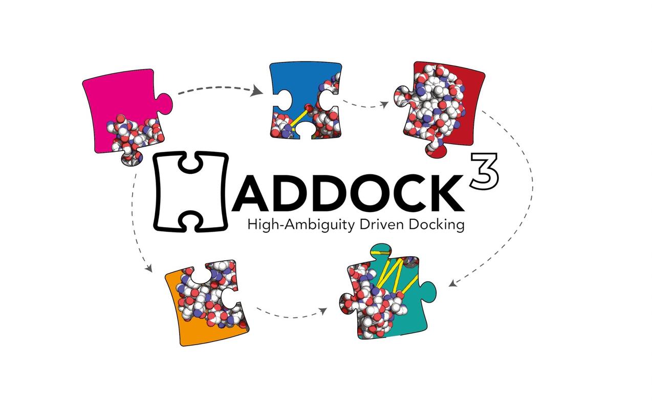 会啥-haddock3-本地部署haddock3-1简介+本体安装 - 哔哩哔哩