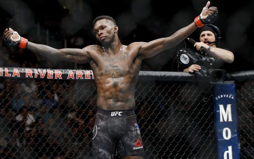 UFC中量级最强男人，17战17胜13KO，整个UFC都拿他没办法！_哔哩哔哩_bilibili