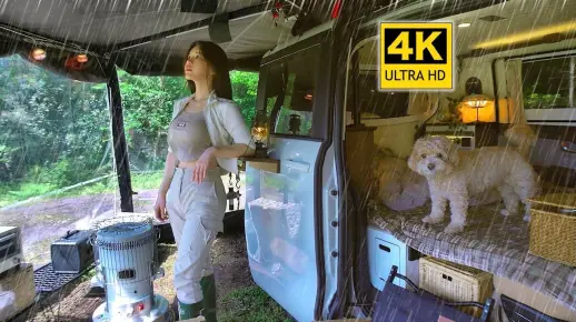 【4K】放松解压☔️下雨天在大森林里搭汽车帐篷舒适露营车中泊 | 作者：Ssoberry | 机翻中文_哔哩哔哩_bilibili