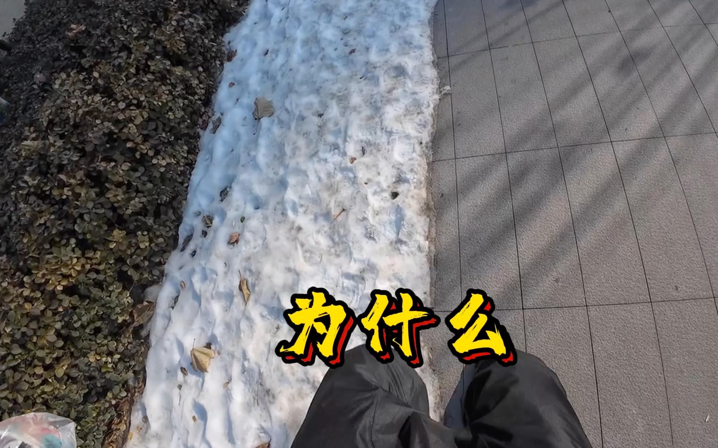 为什么不让骑车我进小区 是因为我长得帅吗?-老六liul-老六liul-哔哩哔哩视频