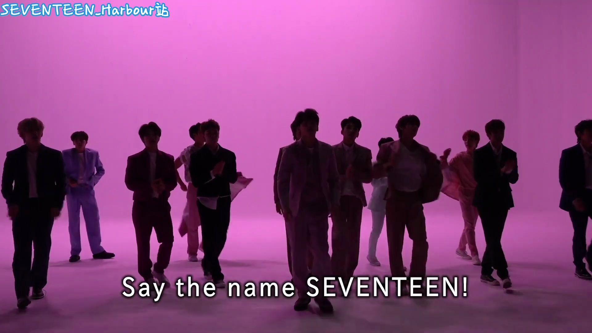 [SVT_Harbour中字] 200521 SEVENTEEN-「飘落的花瓣 (Fallin' Flower)」PERFORMANCE视频 ...