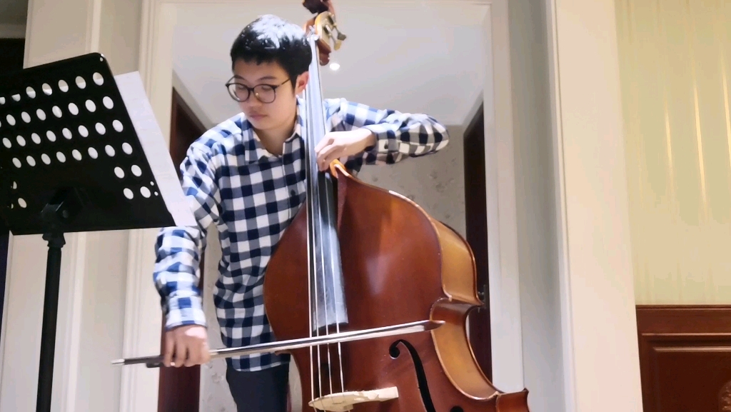 Moses in Egypt (play on one string on double bass)_哔哩哔哩_bilibili