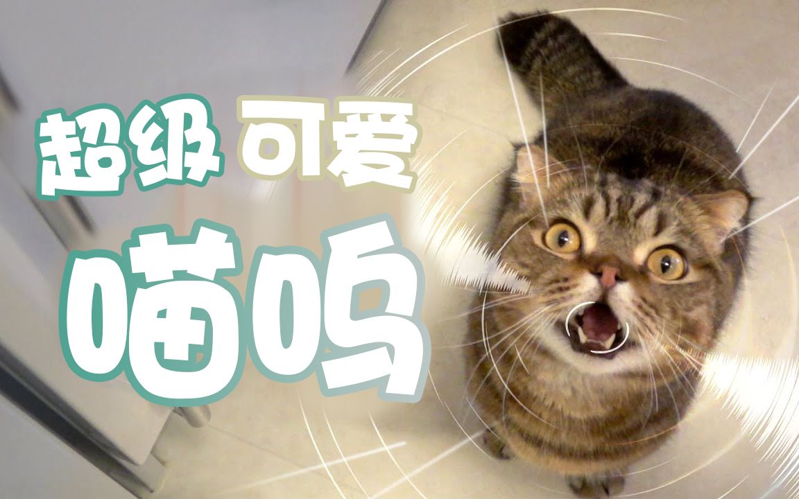 奶油管家🐈Kittisaurus Villains：LULU喵超级可爱！_哔哩哔哩_bilibili