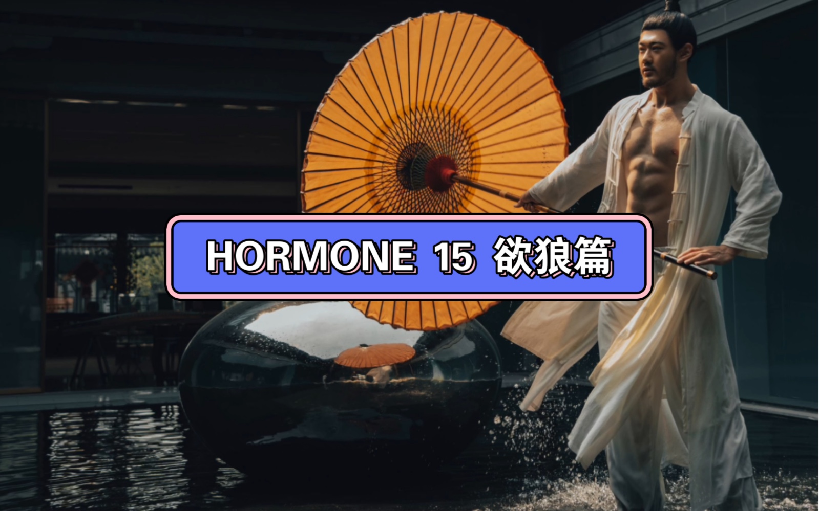 HORMONE 15 欲狼篇 任壬作品 - 视频下载 Video Downloader