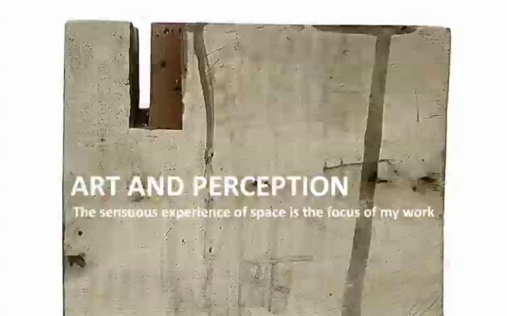 22.8.12丨Art and Perception (艺术与观念)丨Pia s - 哔哩哔哩