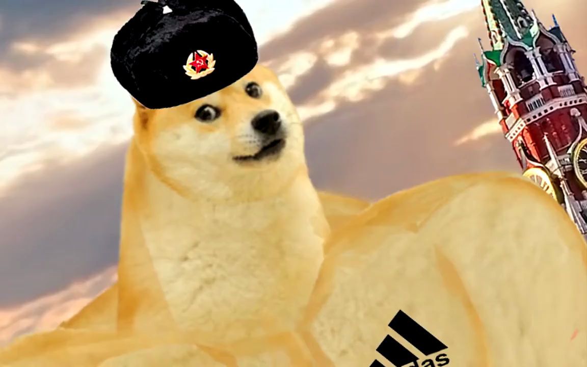 来自不同国家的doge_哔哩哔哩_bilibili