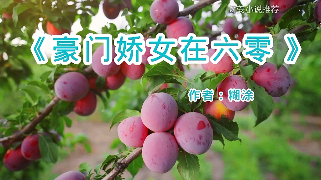 老书迷小说推荐《豪门娇女在六零 》作者：糊涂，系统，年代文。 哔哩哔哩 