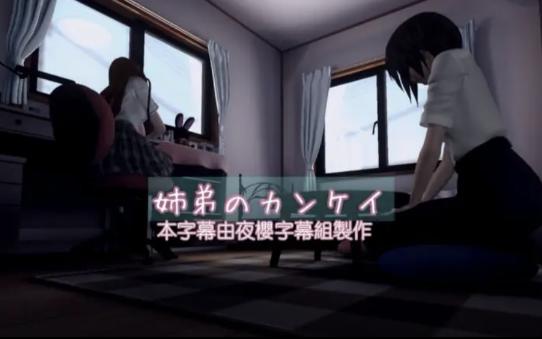 3d动画姐弟的关系1-4（天国的姐弟）姉弟のカンケイ动漫 中文字幕 - 影音视频 - 小不点搜索