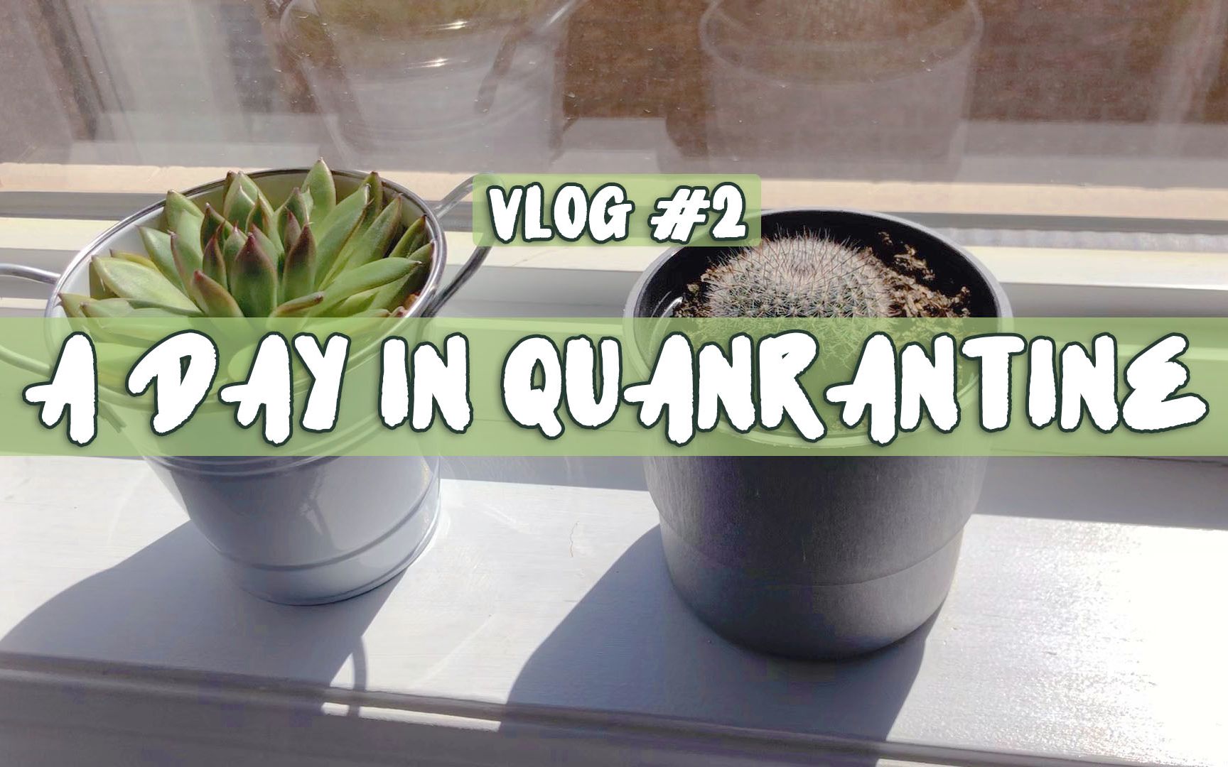 【emilyy】vlog#2 |加拿大在家隔离日记_哔哩哔哩_bilibili