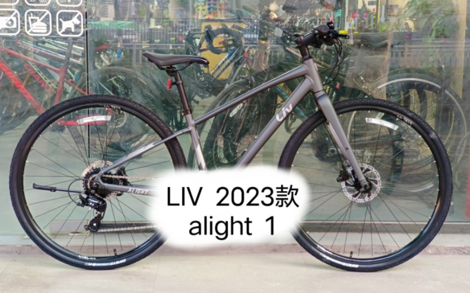 全站最真诚盘点捷安特escape1 网红人气平把公路 狗 头