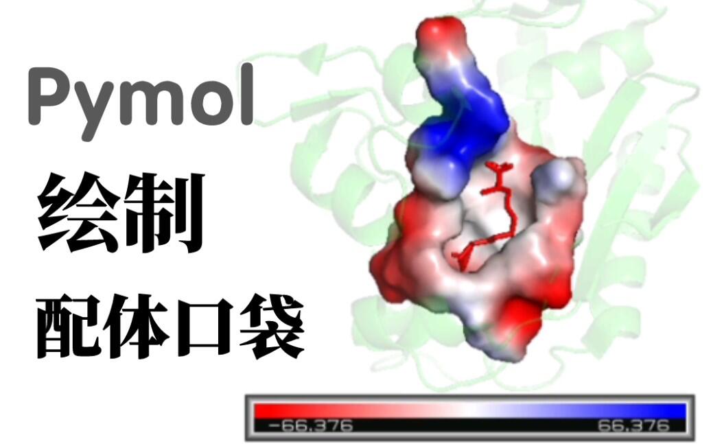 Pymol绘制蛋白配体口袋 - 哔哩哔哩