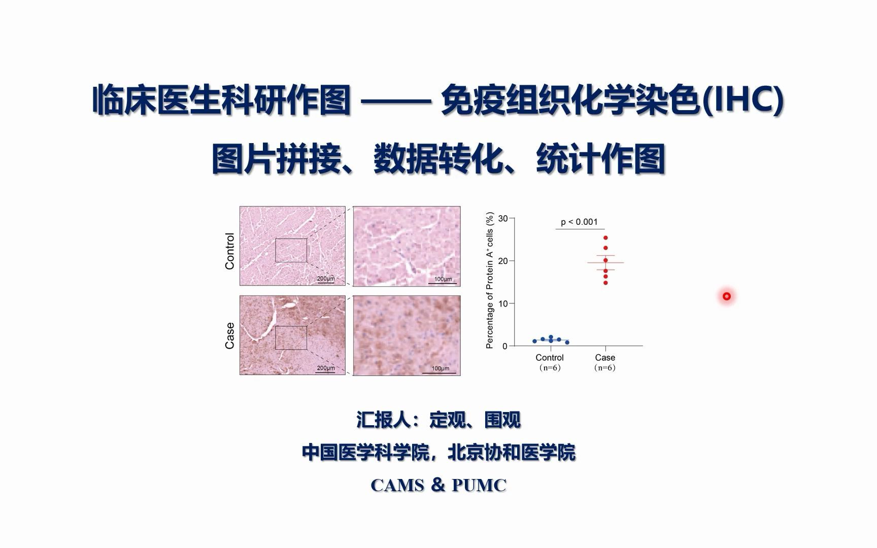 临床医生科研作图——IHC图片拼接、数据转化、统计作图 - 哔哩哔哩