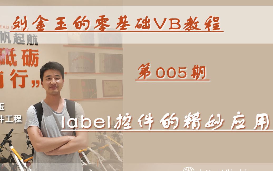 零基础vb教程005期：label控件的精妙应用 哔哩哔哩 