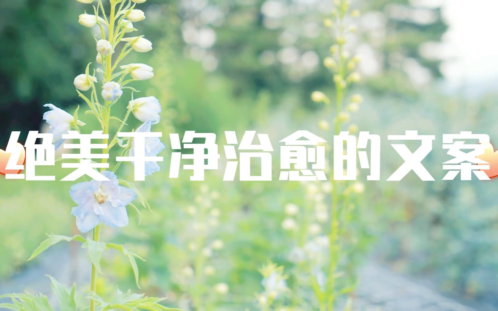 【那些绝美干净治愈的文案】 尘埃任它飞扬，我自做我的阳光” 哔哩哔哩
